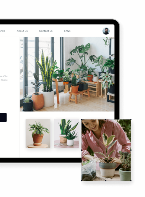 Sell Plants Online On Your Own eCommerce Website With Instamojo